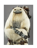 Stars - Power Of The Force Convention